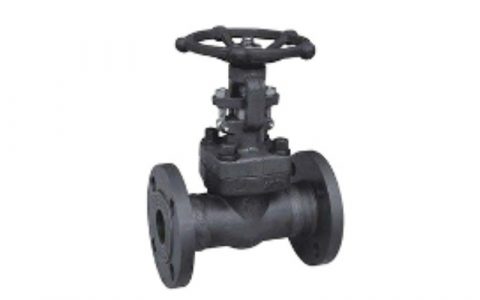 Gate Valve | FLV Engineering